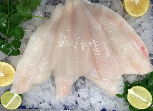 Witch Sole Fillets (Grey Sole) – Armstrong's of Stockbridge