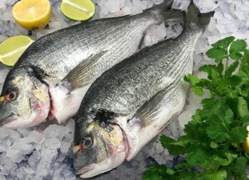 Armstrong's of Stockbridge – For everything Fishy, From Shrimps to ...