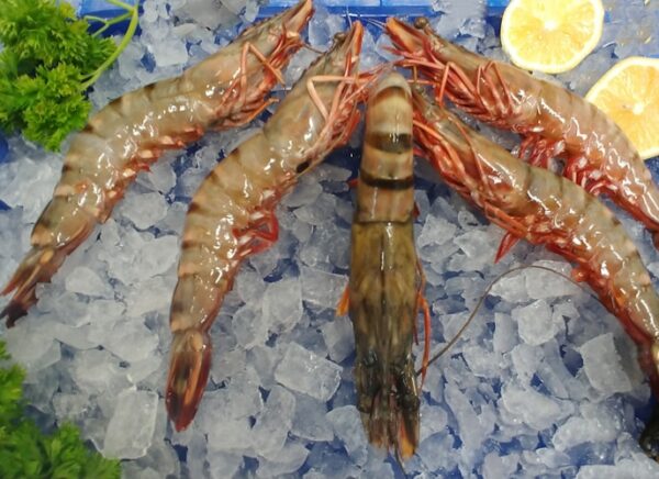 Gamba Prawns – Armstrong's of Stockbridge