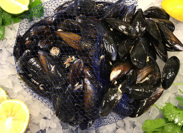 Shetland Rope Mussels – Armstrong's of Stockbridge