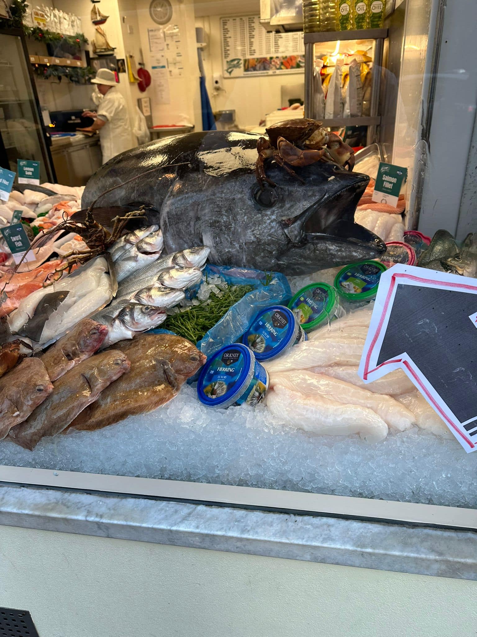 Troy The blue fin tuna landed – Armstrong's of Stockbridge